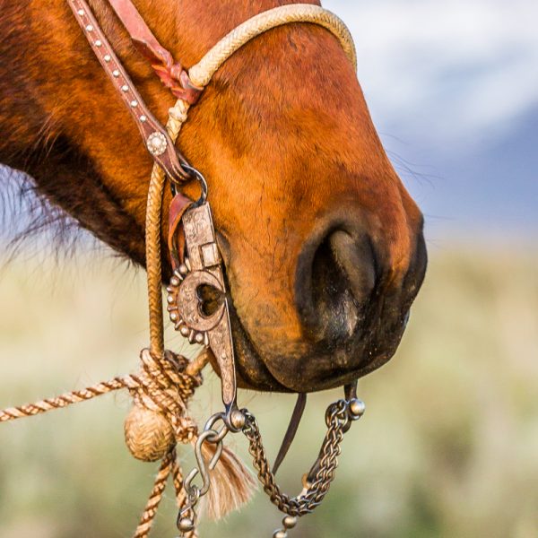 Products – J.M. Capriola