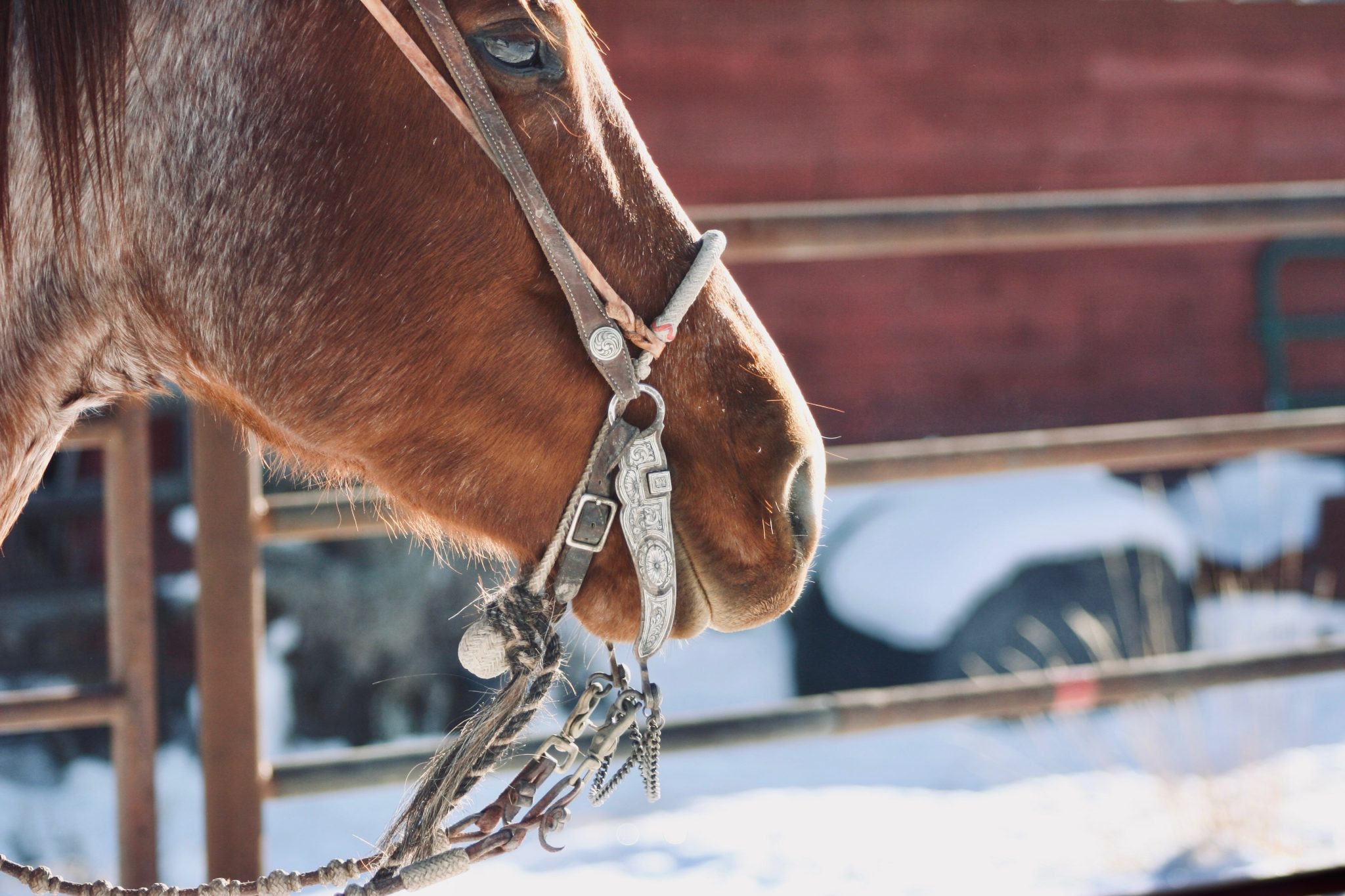 J.M. Capriola – Home of the Original Garcia Bit & Spur Company